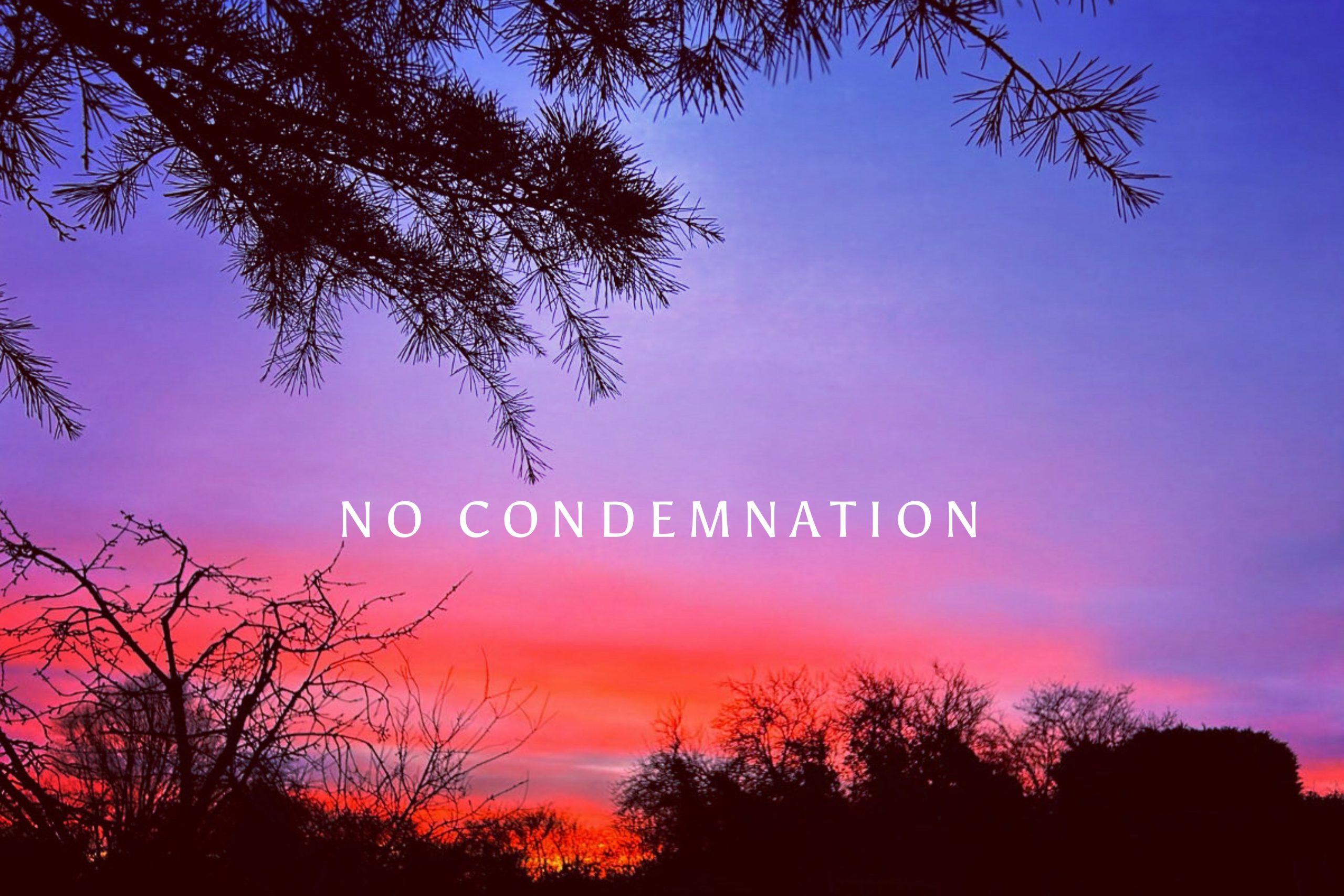 No Condemnation To Them Which Are In Christ Jesus - Salt Blog