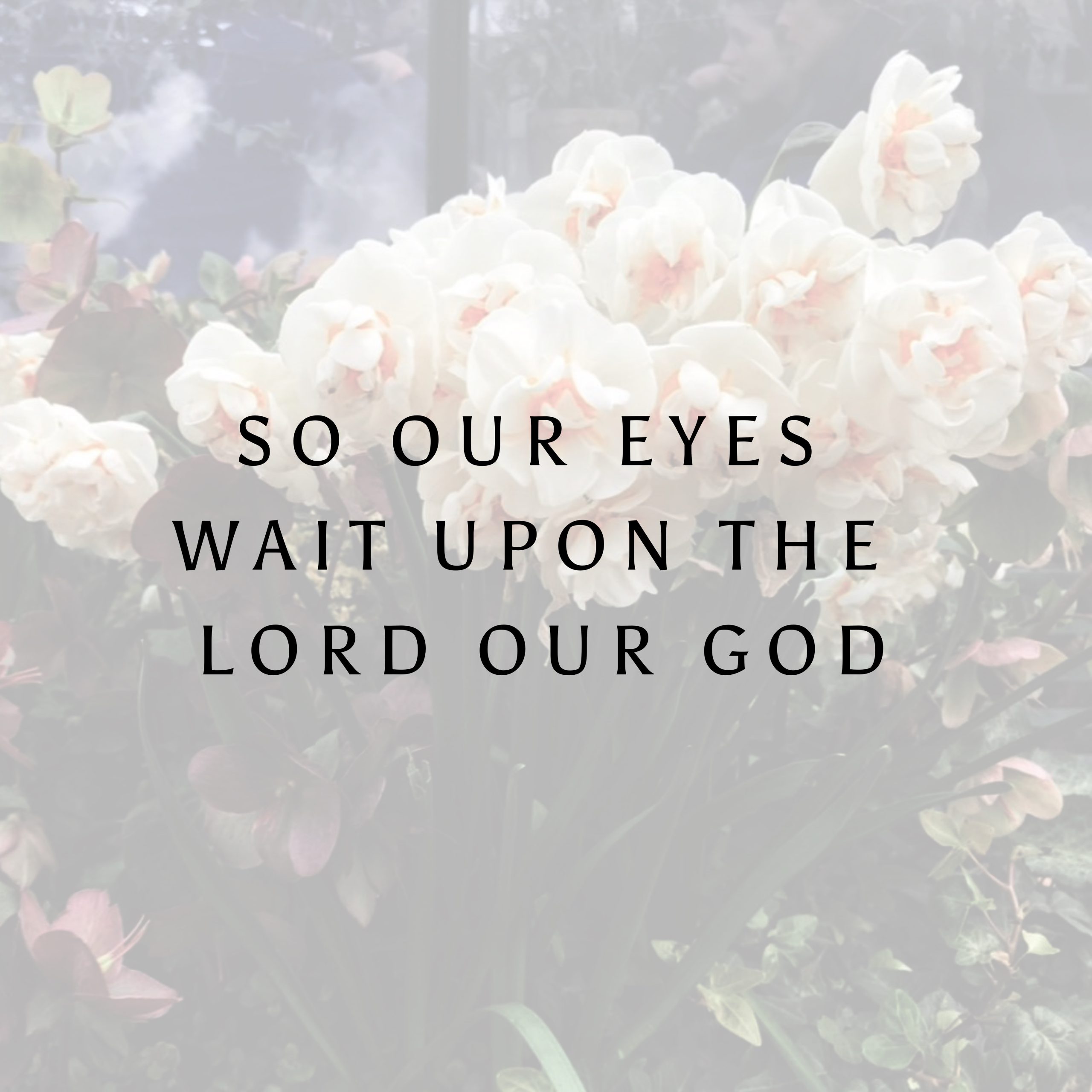 How Are Our Eyes to be On The Lord? - Salt Blog