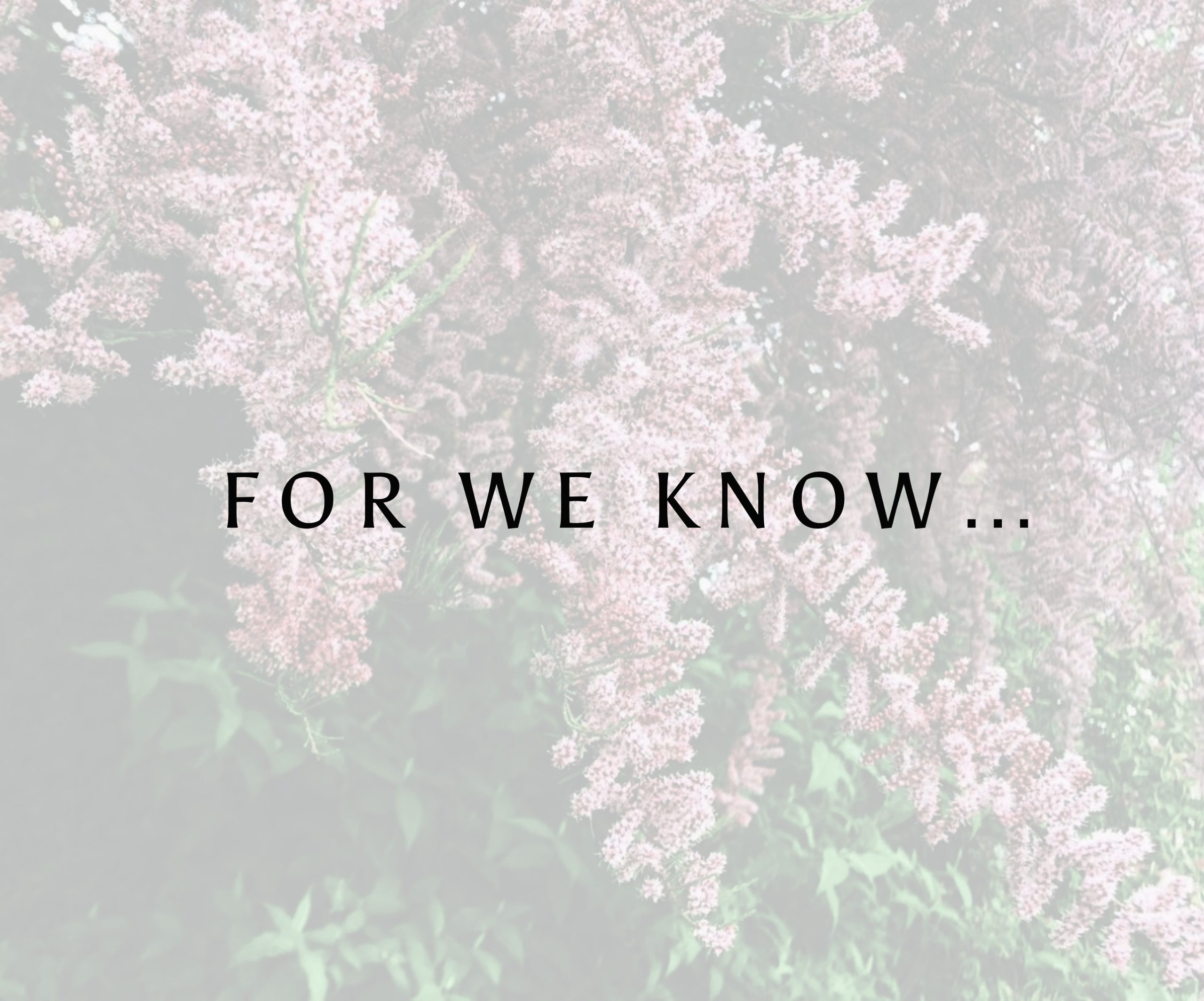 ‘For we know…’. Do you know? - Salt Blog